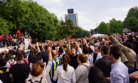 Gezi Park Protests in Perspective