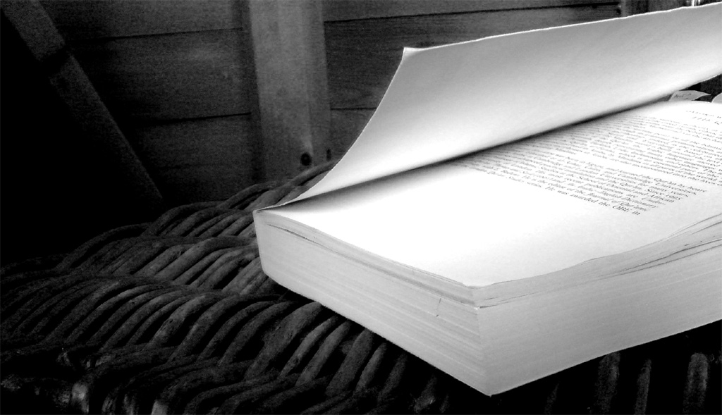 Non-Muslims in Muslim History